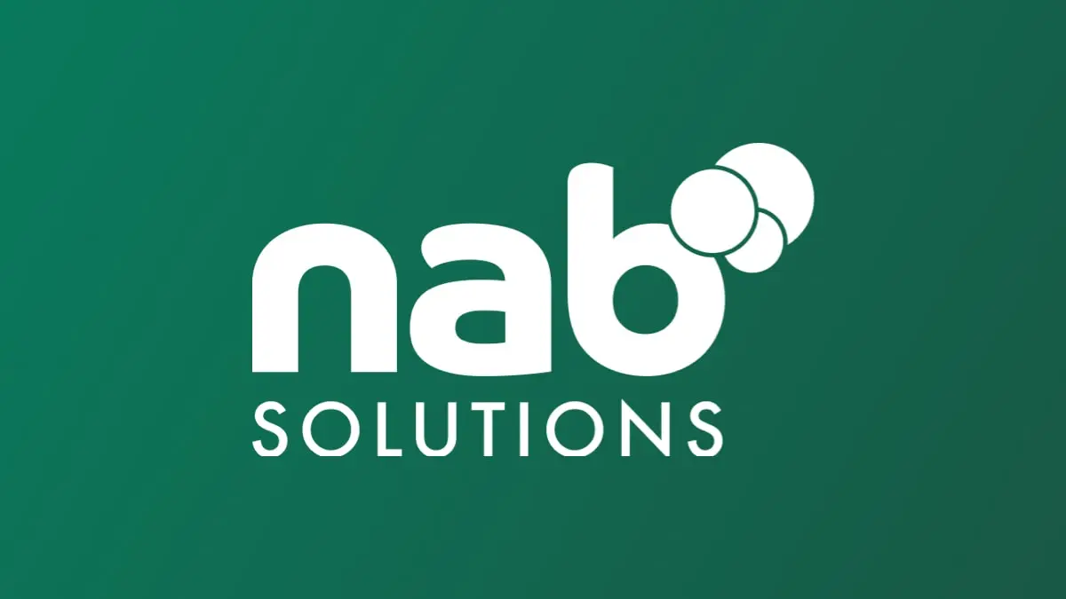 Experts on Dynamics 365 & Power Platform | NAB Solutions US
